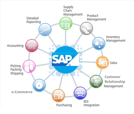 Sap Nedir